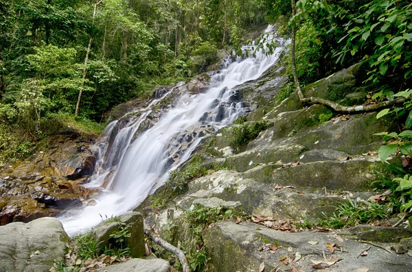 Parque nacional taman negara fotos de stock, imágenes de Parque ...