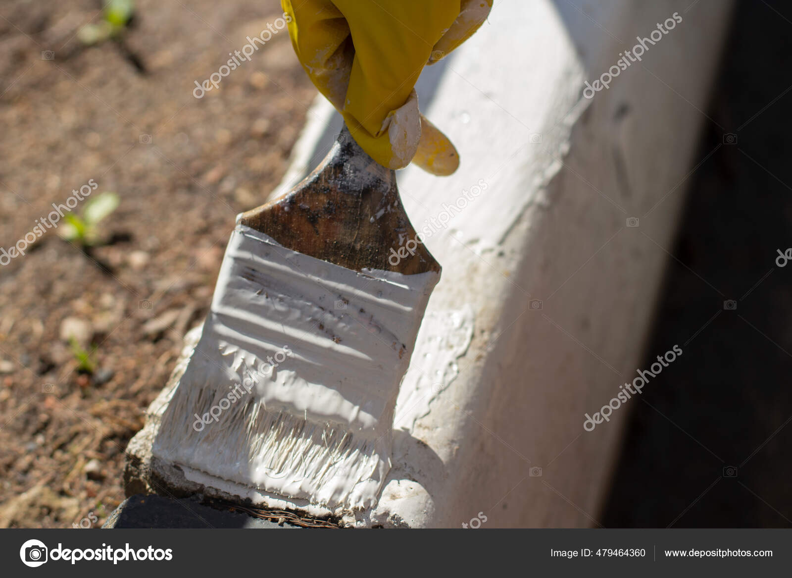 Paints Kerb White Paint Brush Paint Road Curb Painting Road Stock Photo ...