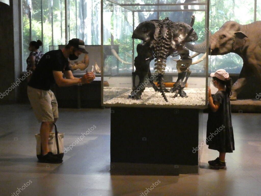 The La Brea Tar Pits - A Portal Into An Ancient Ice Age. July 28, 2021 ...