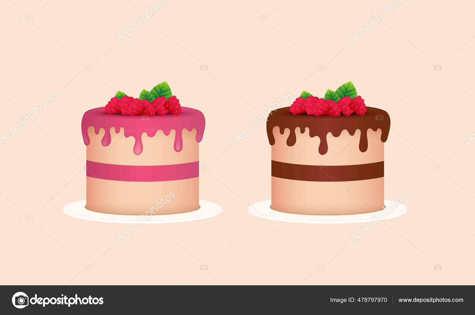 Two Cakes Sponge Cakes Chocolate Rose Cream Cakes Decorated Raspberries ...