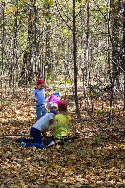 Kids playing woods Stock Photos, Royalty Free Kids playing woods Images ...