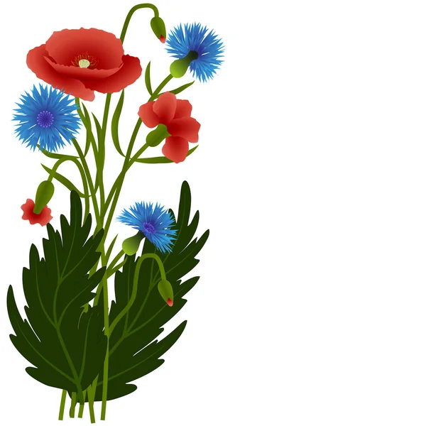 Cornflower Poppy Bouquet