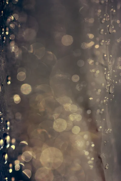 Vintage nature | Vintage nature — Stock Photo © Guas #53028205