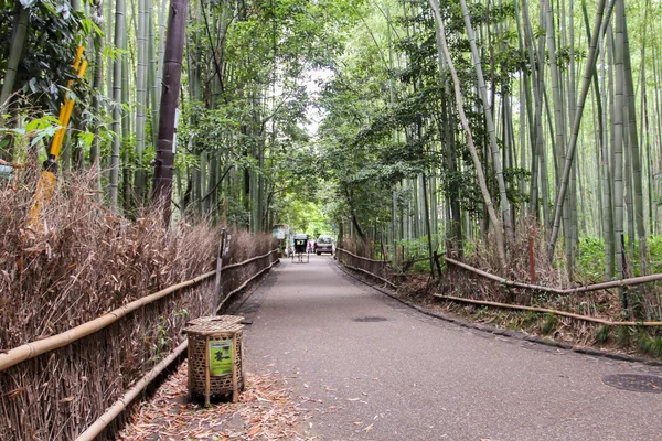 Arashiyama Bamboo Path, Japan — Stock Photo © mezairi #69836431