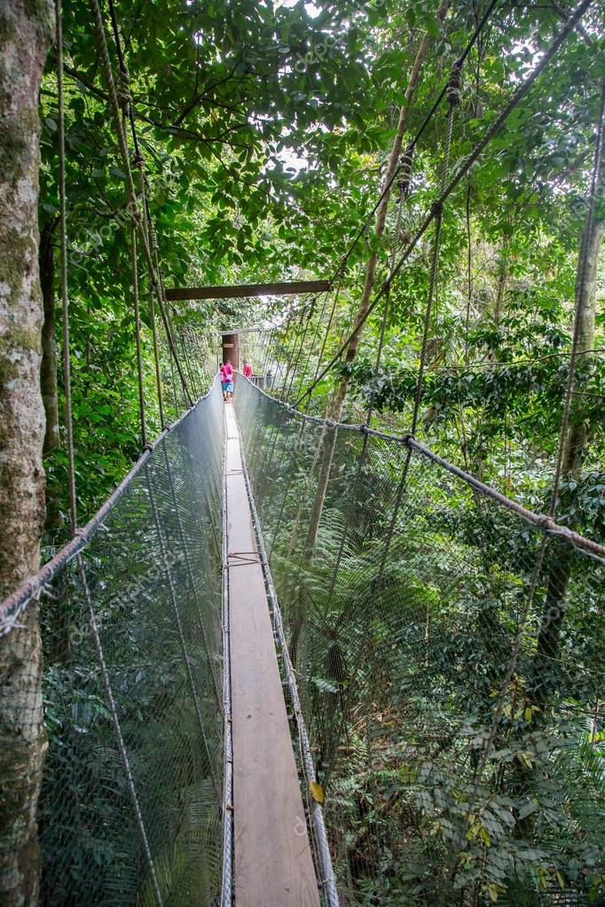 Poring Hot Spring, Sabah, Borneo Malaysia — Stock Photo © mezairi #70589027