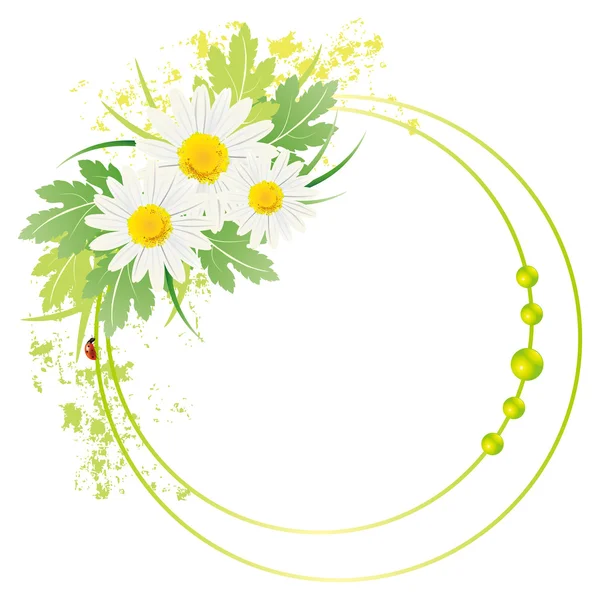 8,993 Daisy frame Vector Images | Depositphotos