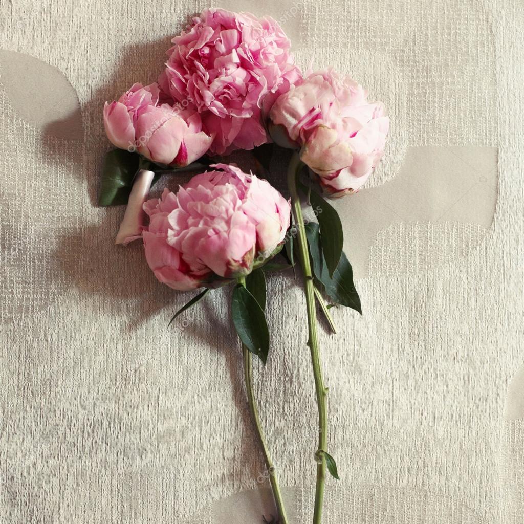Pale pink and white peonies — Stock Photo © ivash #86616194