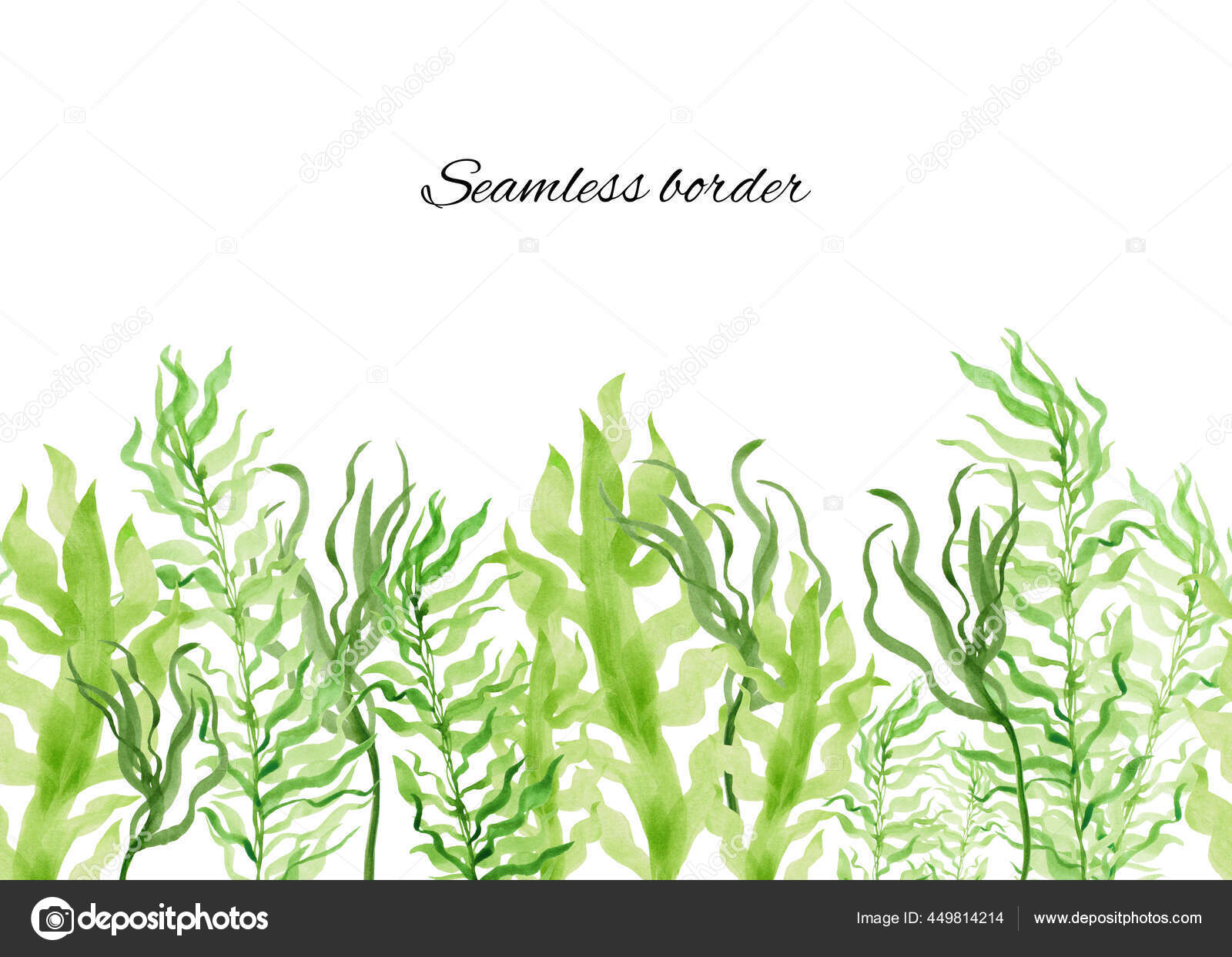 Hand Painted Watercolor Seamless Border Seaweed Algae Different Types ...