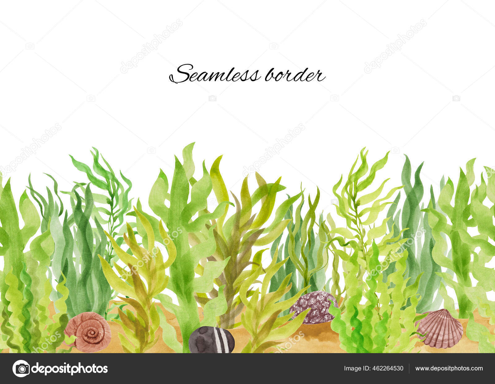 Hand Drawn Watercolor Seamless Border Colorful Algae Seaweed Stones ...