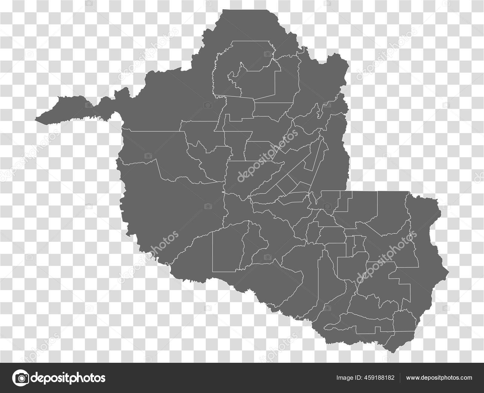 Blank Map Rondonia Brazil High Quality Map Rondonia Municipalities ...