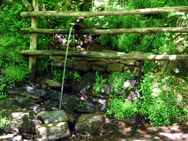 Arethusa spring Stock Photos, Royalty Free Arethusa spring Images ...