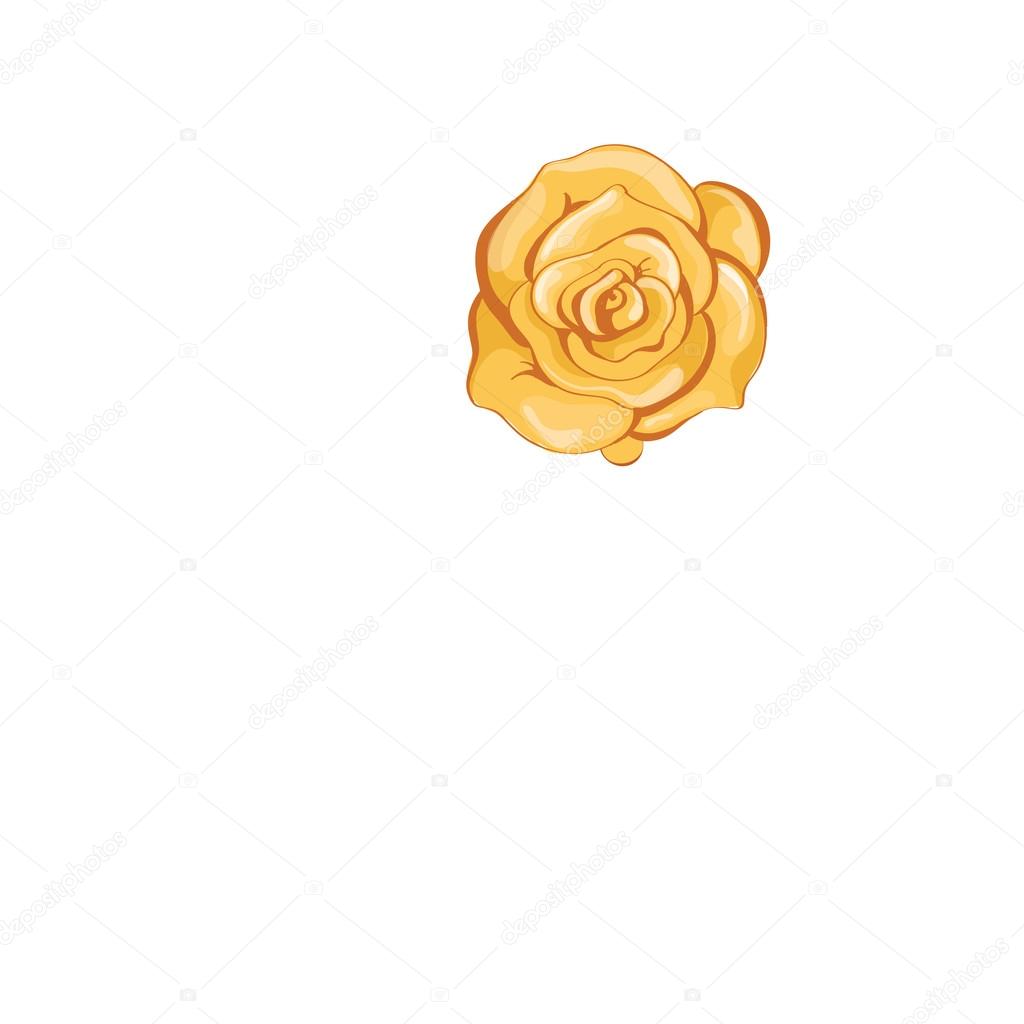 Image of Golden Rose — Stock Vector © Mariolana #69835039