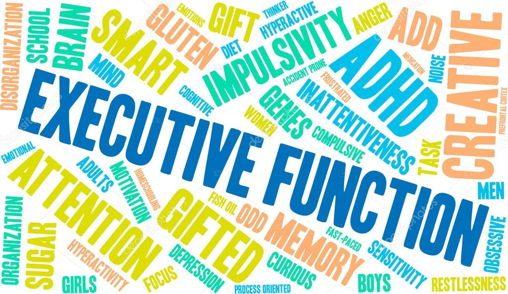 Executive Function Word Cloud Stock Vector by ©arloo 114229332