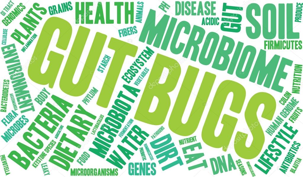 Gut Bug Word Cloud — Stock Vector © arloo #85520882