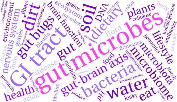 100,000 Microbios intestinales word cloud Vector Images | Depositphotos