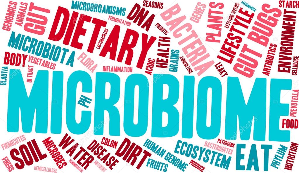 Microbiome Word Cloud — Stock Vector © arloo #91839172