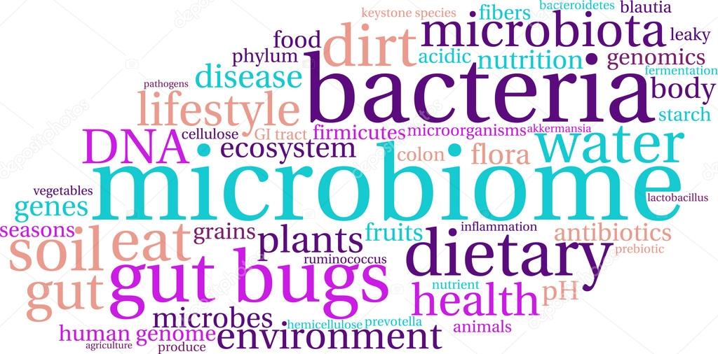 Microbiome Word Cloud — Stock Vector © arloo #91839382