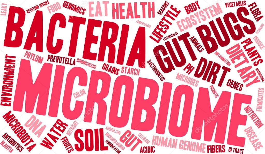 Microbiome Word Cloud — Stock Vector © arloo #91839638