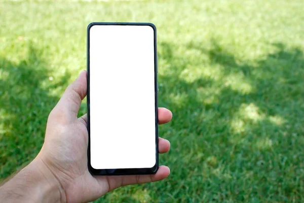 Blank phone screen Images - Search Images on Everypixel