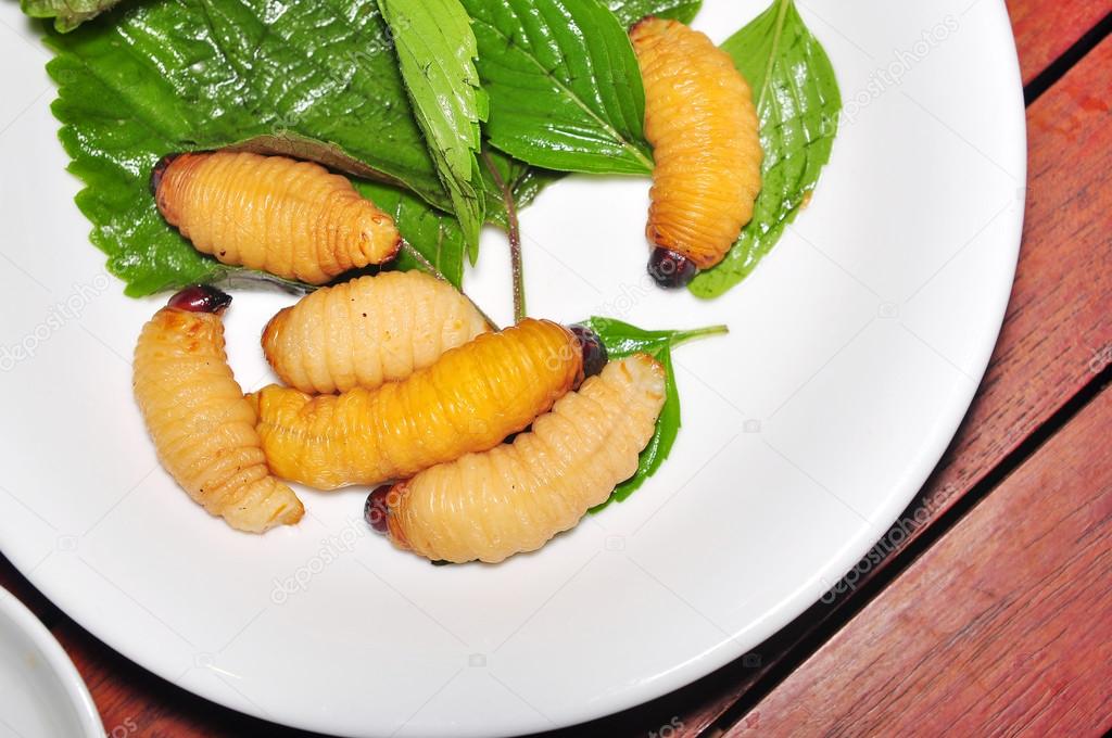 Gusano de la Larva de picudo rojo Palma o coco o Duong dua o sagú ...