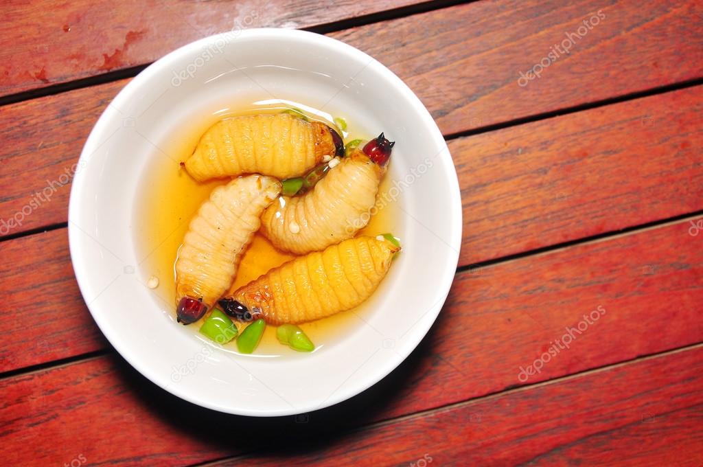 Gusano de la Larva de picudo rojo Palma o coco o Duong dua o sagú ...