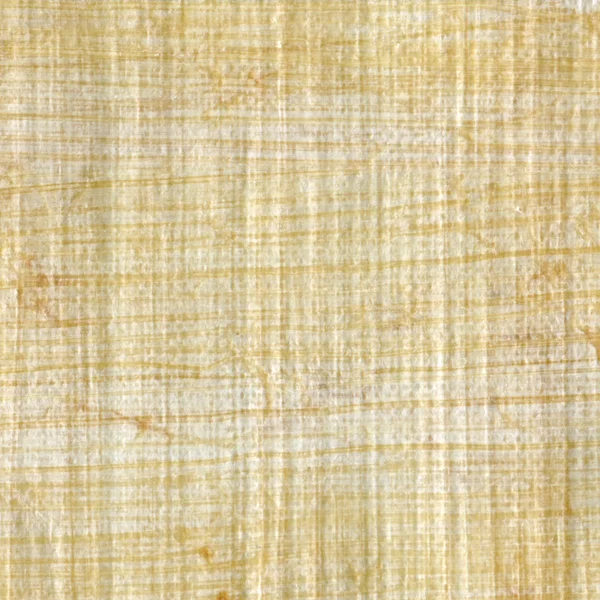 Papyrus texture - seamless pattern - ridged surface — Stock Photo ...