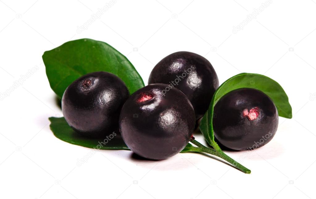 The amazon acai fruit. — Stock Photo © diogoppr #69717917