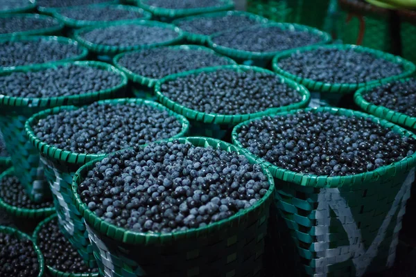 A fruta de açaí da amazônia . — Foto © diogoppr #95376856
