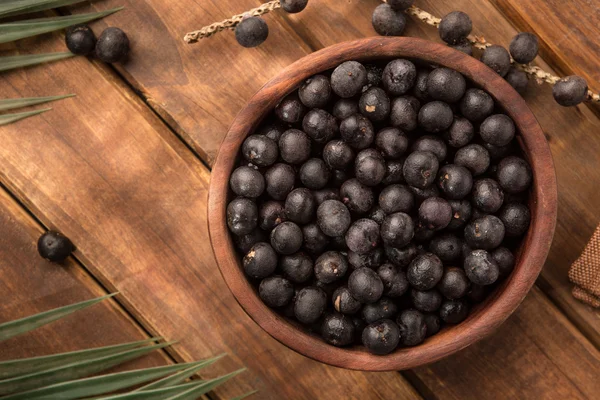 The amazon acai fruit Stock Photo by ©diogoppr 69740413
