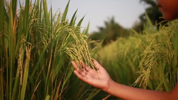 4,533,080 Nature Videos, Royalty-free Stock Nature Footage | Depositphotos