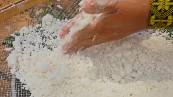 Indigenous Woman Breaking Clumps Cassava Flour Sifting Make Beiju ...