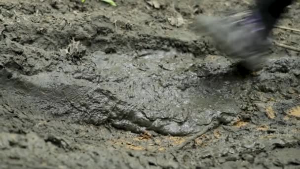 13 Tryouts Videos, Royalty-free Stock Tryouts Footage | Depositphotos