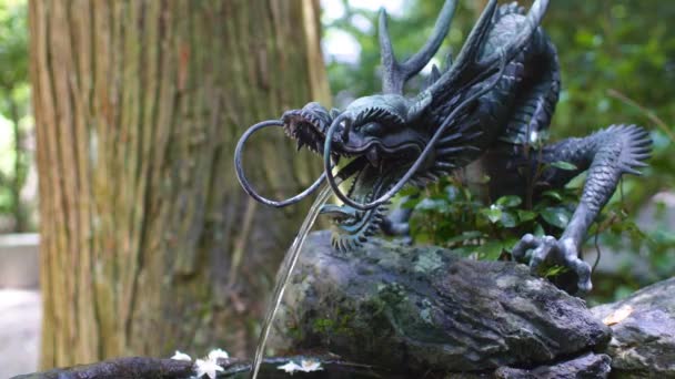 509 Dragon water splash Videos, Royalty-free Stock Dragon water splash ...