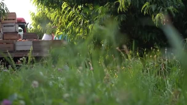 121 Loaded wagon Videos, Royalty-free Stock Loaded wagon Footage ...