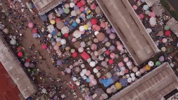 16 Yaounde cameroon Videos, Royalty-free Stock Yaounde cameroon Footage ...