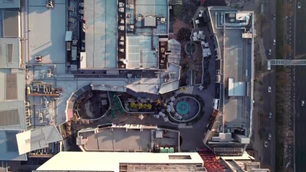 35 Arauco Videos, Royalty-free Stock Arauco Footage | Depositphotos