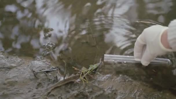 Collecting Water Sample Testing Lake Test Tube — Stock Video ...
