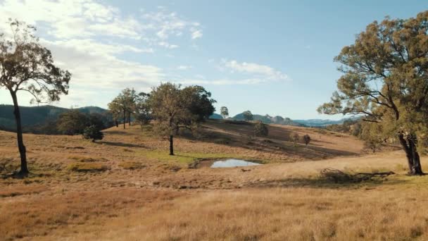 1,629 vídeos de Australian scenery, metraje de Australian scenery sin ...