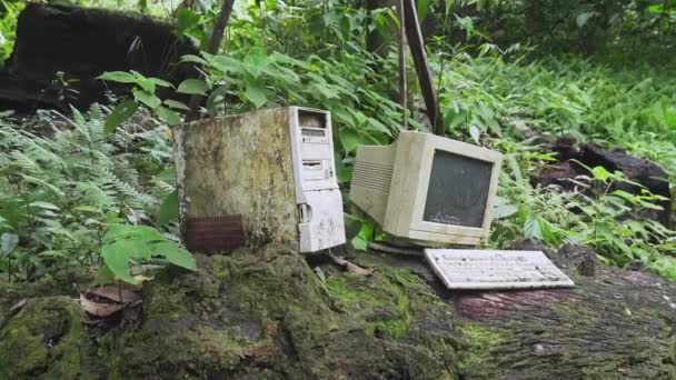 Obsolete Vintage Computer Log Lush Green Jungle Zoom — Stock Video ...