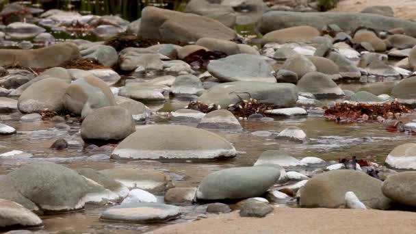 240 vídeos de Australian coastal scenery, metraje de Australian coastal ...