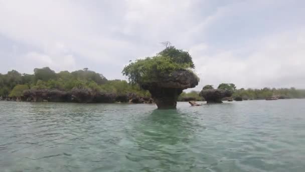Mushroom Shaped Rock Protrusion Mangrove Sea Coast Zanzibar — Vídeo de ...