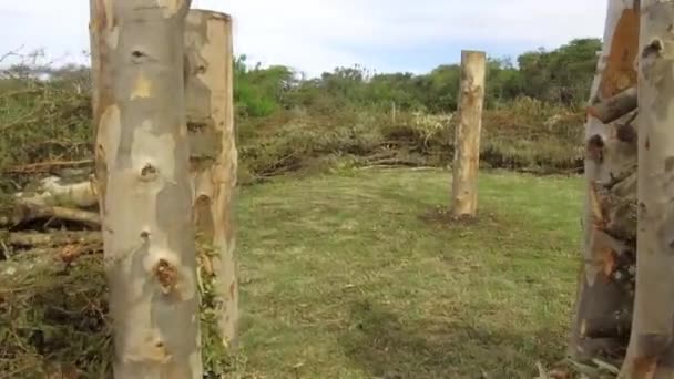 View African Kraal Xhosa Traditional Wedding — Stock Video ...