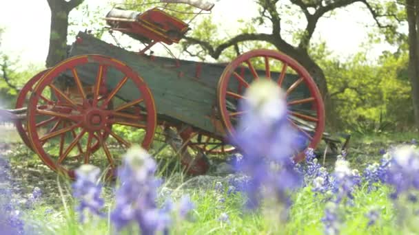 5,178 Old wagon Videos, Royalty-free Stock Old wagon Footage ...