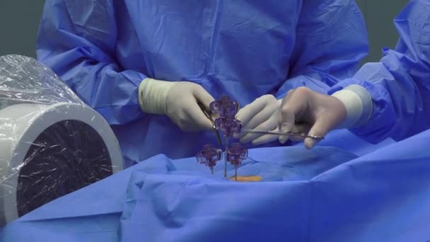 109 Disc hernia Videos, Royalty-free Stock Disc hernia Footage ...