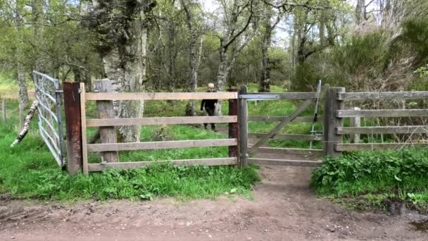 40 Posti cancello Videos, Royalty-free Stock Posti cancello Footage ...