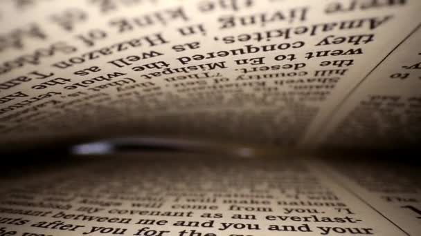 124 Bible lettering Videos, Royalty-free Stock Bible lettering Footage ...