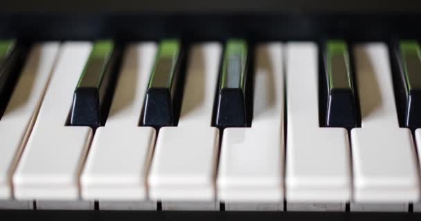 37 Stringed keyboard Stock Videos, 4K & HD Footage | Depositphotos