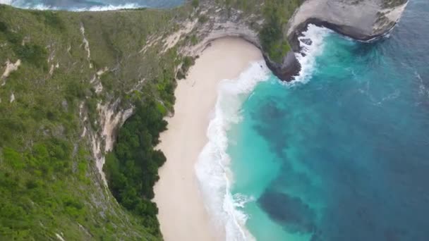 45 T rex silueta Videos, Royalty-free Stock T rex silueta Footage ...