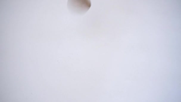 402 Flip munt Videos, Royalty-free Stock Flip munt Footage | Depositphotos