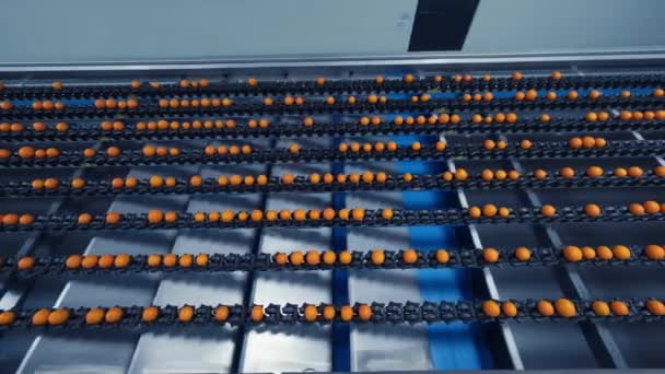 165 Calibration process Videos, Royalty-free Stock Calibration process ...